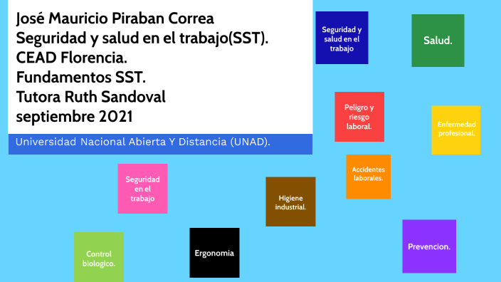 mapa conceptual SST by Jose Mauricio Piraban Correa on Prezi