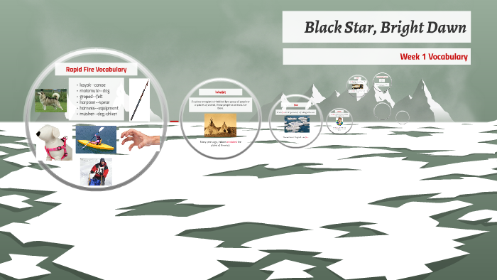 Black Star, Bright Dawn by Anne McCaslin