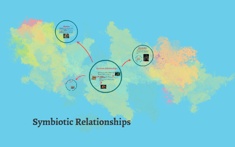 Symbiotic Relationships by Rebecca Krause on Prezi