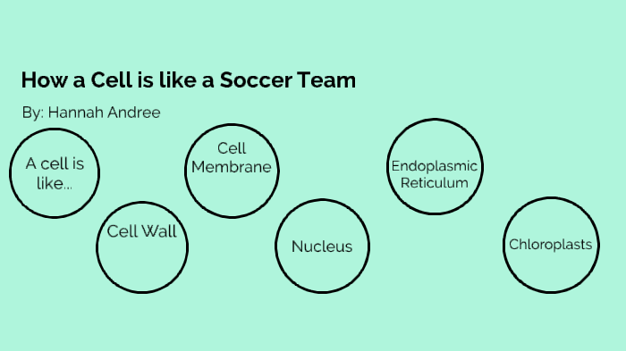 How a cell is like a Soccer Team by Hannah Andree on Prezi