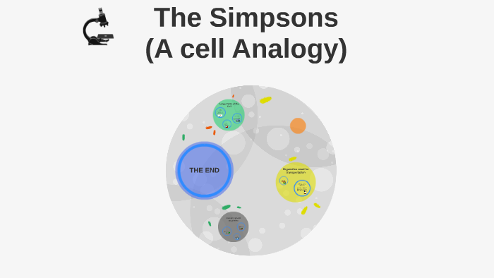 The Simpsons (A cell Analogy) by Noah Glassman on Prezi