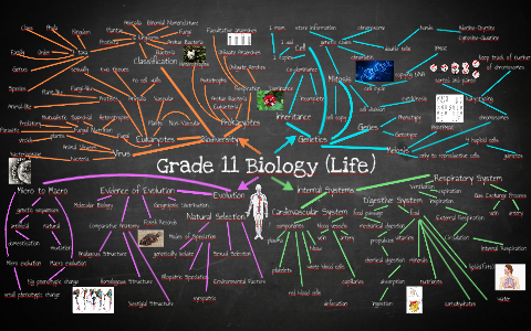 Grade 11 Biology (SBI 3U0) by Simranjit Gill on Prezi
