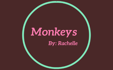 Monkeys by Rachelle Snook on Prezi