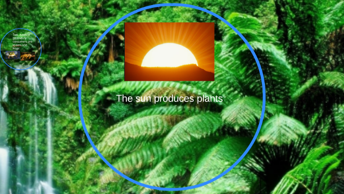 Three producer are sun, b by leilani brown on Prezi