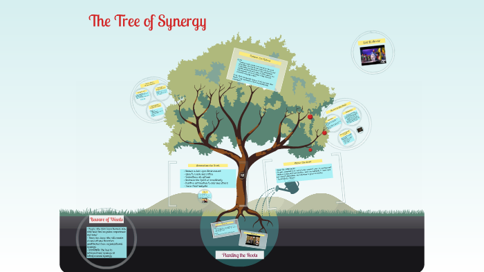 Tree of Synergy by Sarah Sheldon on Prezi