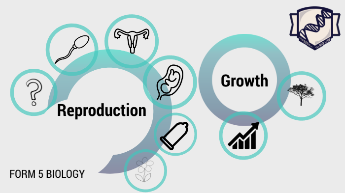 Chapter 4 - Reproduction and Growth by Pardip Sidhu on Prezi