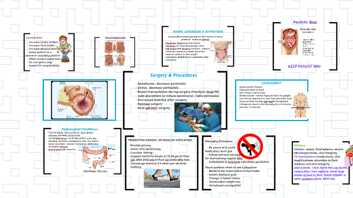 Bowel Elimination Part 2 by Natalie Salgado on Prezi