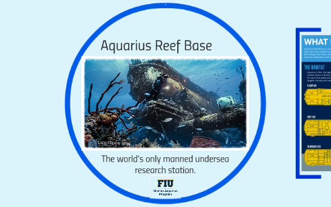 Aquarius Reef Base...the world's only manned undersea resear by Thomas ...
