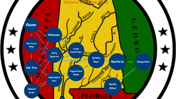 1.05 Alabama Food Web by Eddie Ferguson on Prezi