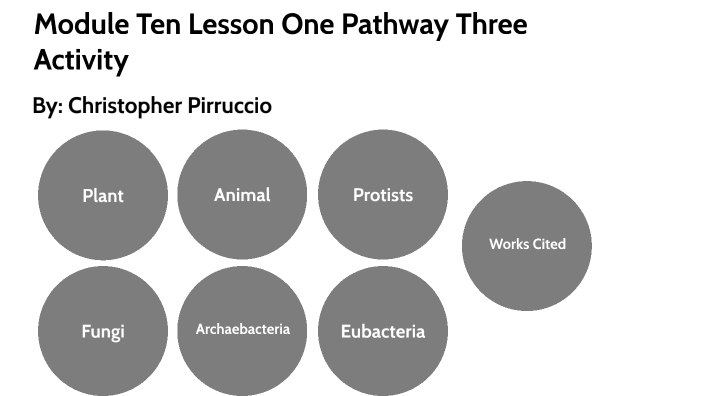 Module Ten Lesson One Pathway Three Activity by Christopher Pirruccio ...
