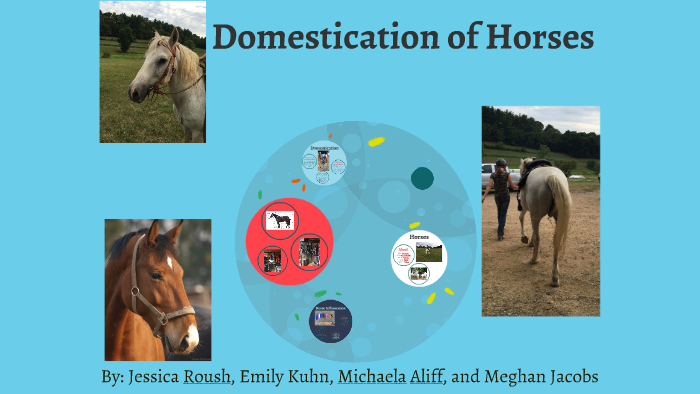 Domestication of Horses by Emily Kuhn on Prezi