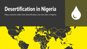 Desertification in Nigeria by Elena Hess on Prezi Design