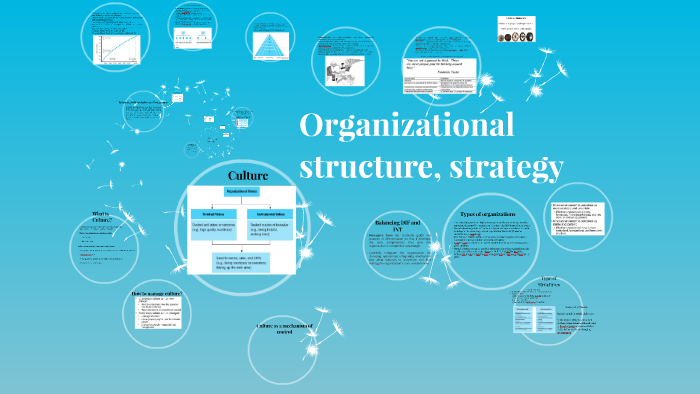 Organizational structure, strategy & culture by Camila Sanchez Jimenez ...