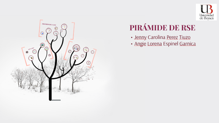 PIRÁMIDE DE RSE by Angie Lorena Espinel Garnica on Prezi