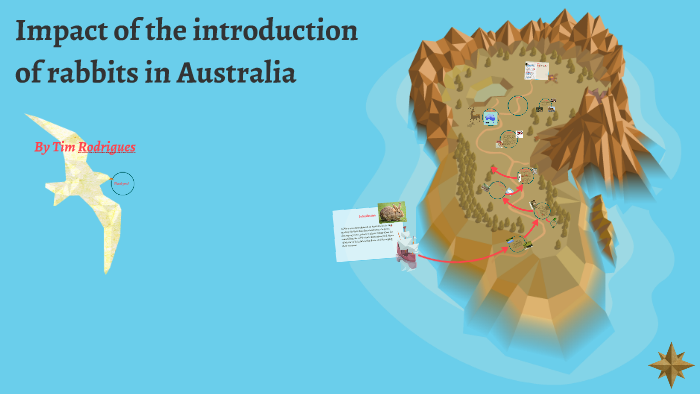 Introduction of rabbits in Australia by Timothy Rodrigues on Prezi