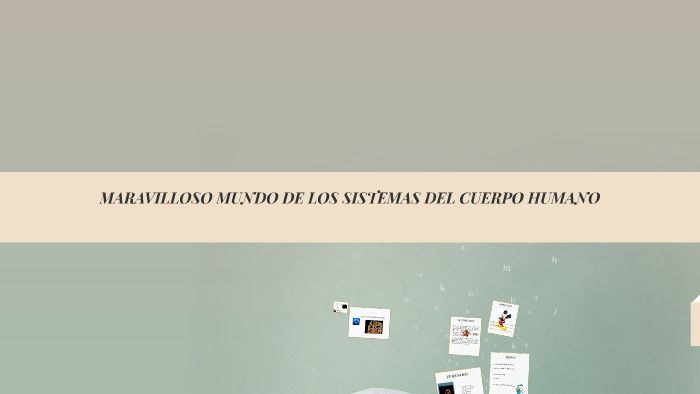 MARAVILLOSO MUNDO DE LOS SISTEMAS DEL CUERPO HUMANO by helena forero on ...