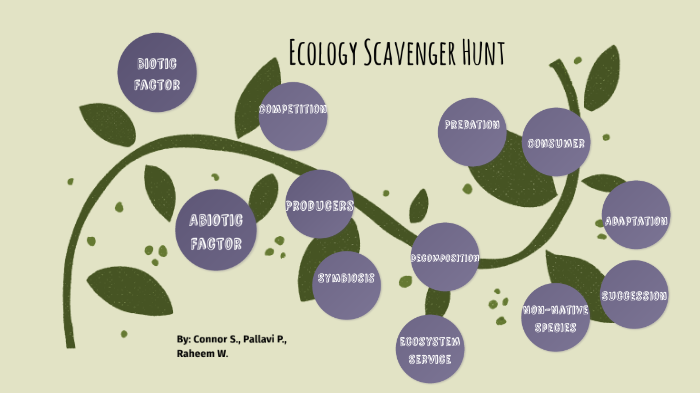 Ecology Scavenger Hunt by P P on Prezi