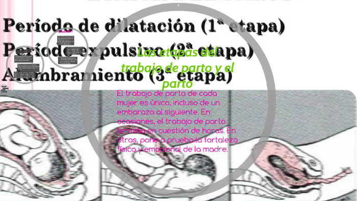Las etapas del trabajo de parto y el parto by on Prezi