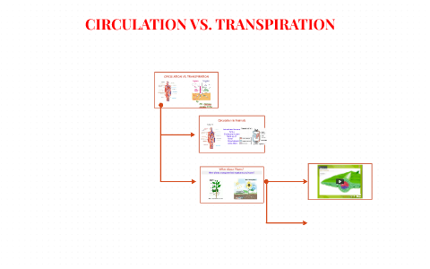Circulation in Plants and Animals by on Prezi