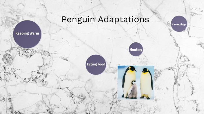 penguin adaptations by isobel boorom on Prezi