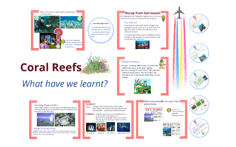 Coral Reefs - Year 7 by Miss Glenn on Prezi