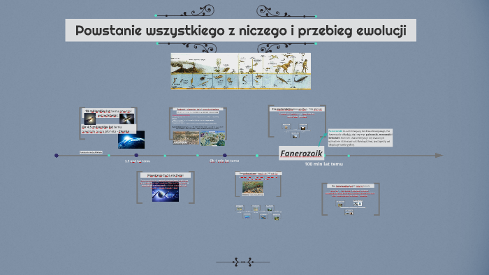 Przebieg ewolucji by Maria Hajek on Prezi