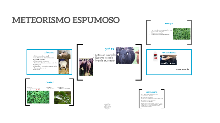 METEORISMO ESPUMOSO by on Prezi