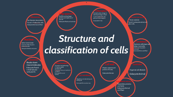 Structure and classification of cells by Christine Brown on Prezi