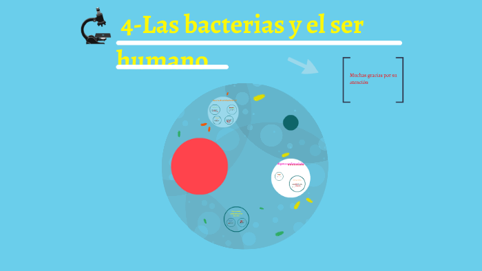 las bacterias y el ser humano by yeray zamarreño fernandez on Prezi