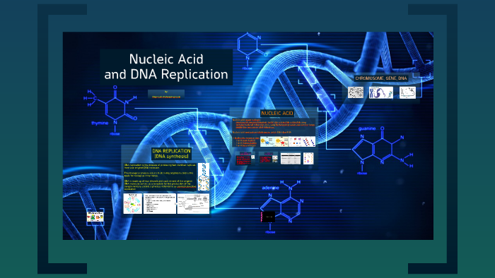 6 Nucleic Acid And Dna Replication By Dian Laila On Prezi