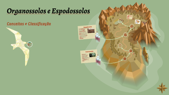 Organossolos e Espodossolos by Vitor Gonçalves da Silva on Prezi