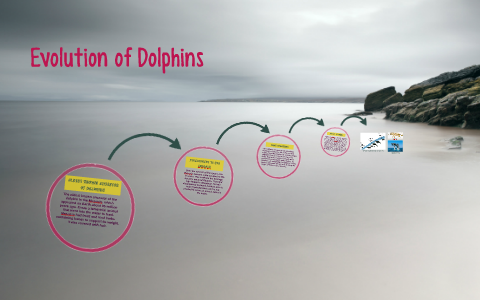 Evolution of Dolphins by Gretel Skinner on Prezi