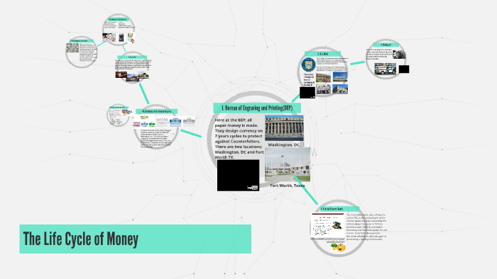 The Life cycle of a Dollar by Savannah Engerson on Prezi