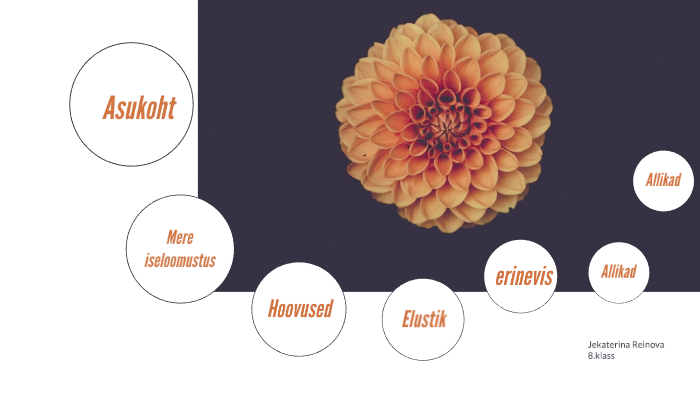 Punane meri by Jekaterina Reinova on Prezi