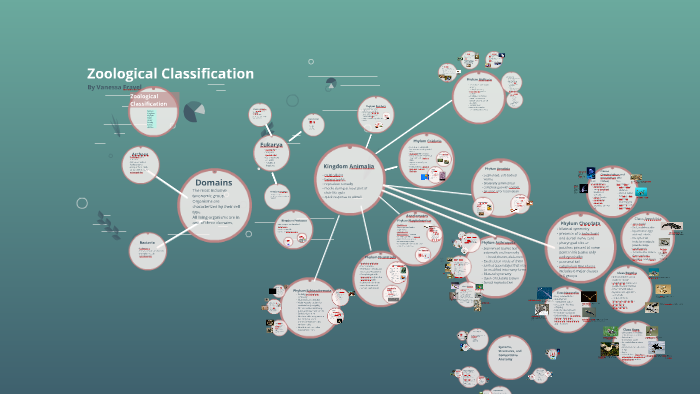 Zoological Classification by Vanessa Fravel on Prezi