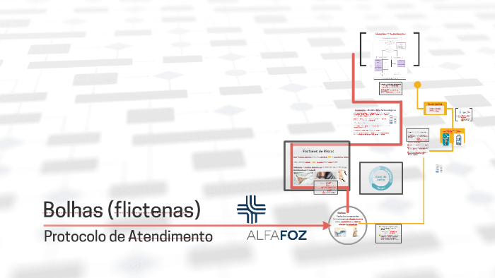 Bolhas (flictenas) by Beatriz Cruz on Prezi