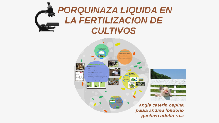 USO DE LA PORQUINAZA LIQUIDA EN LA FERTILIZACION by paula londono on Prezi