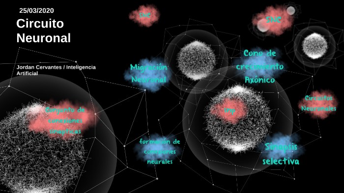 Circuito Neuronal by Gore brother on Prezi