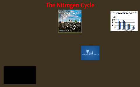 The Nitrogen Cycle by Max Brenner on Prezi