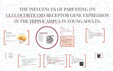 THE INFLUENCES OF PARENTING ON GLUCOCORTICOID RECEPTOR GENE by Laura ...
