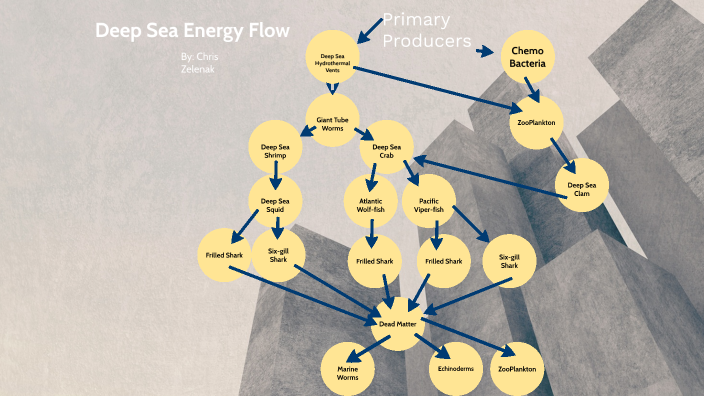 Deep Sea Energy Flow by Christopher Zelenak on Prezi