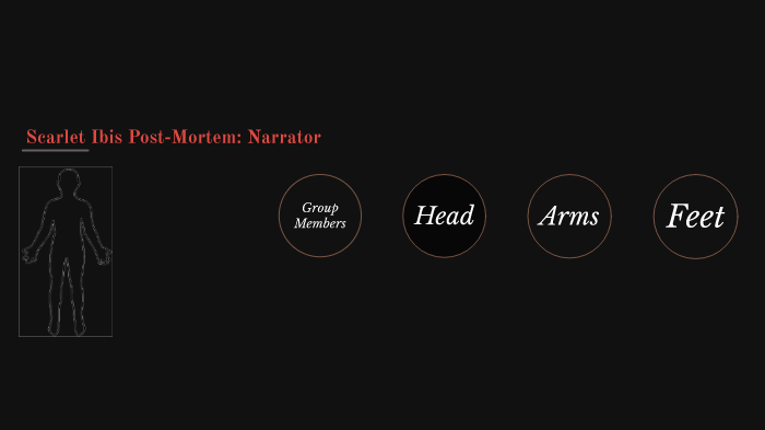 Scarlet Ibis Post Mortem prezi by Kevin Thelen on Prezi