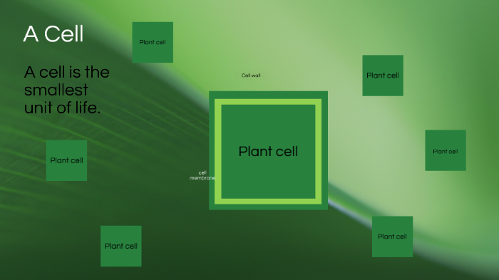 Cell by Precious Imafidon on Prezi