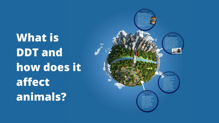 What is DDT and how does it affect animals? by Corbin Zitalone on Prezi