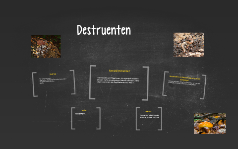 Destruenten by Theo Stoica on Prezi