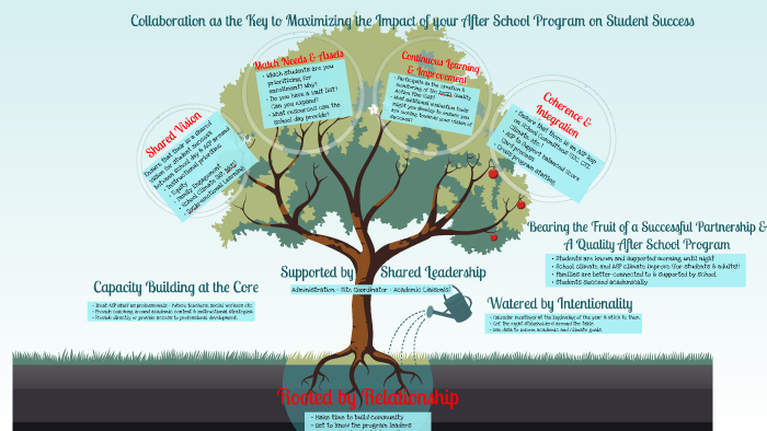 Vision for the Role of the Academic Liaison(s) in a Successful After ...