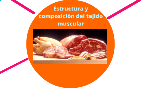 Estructura y composición del músculo by Luis Fernando Ruiz Bravo on Prezi