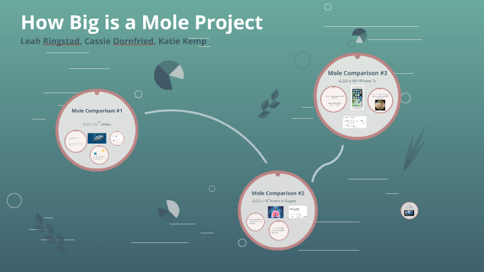 How Big is a Mole Project by Leah Ringstad on Prezi