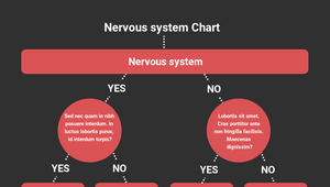 nervous system chart by Kharis Smith on Prezi Design