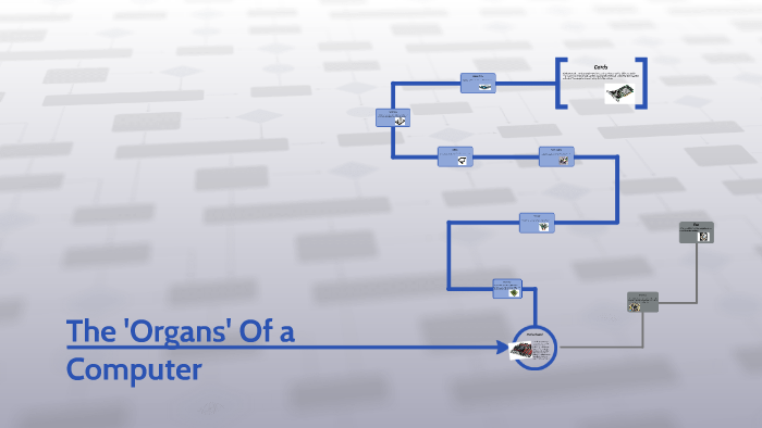 The 'Organs' Of a Computer by Adam Visco on Prezi